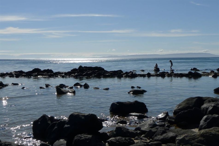 The Old Schoolhouse, Kilmory - Cottages On Arran
