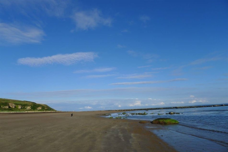 The Old Schoolhouse, Kilmory - Cottages On Arran